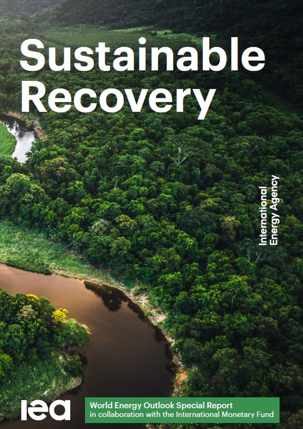 2020 is the Key! Now is the time for global “sustainable” recovery plan ...